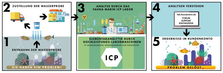 Laboratory - Fauna Marin